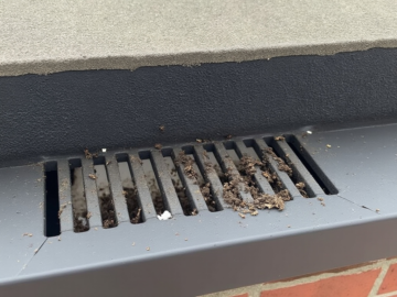 Flat Roof Scupper Drains: Full Expert Guide and DIY Advice