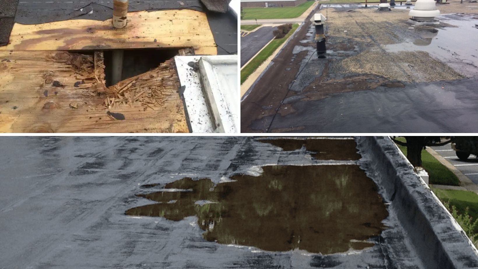 Roof Leak Detection: Strategies to Prevent Water Damage